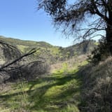 Long Canyon Loop Trail, California - 16 Reviews, Map | AllTrails