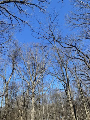 Best Hikes and Trails in Blackwell Forest Preserve | AllTrails