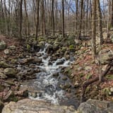 Pulpit Rock and Pinnacle Loop, Pennsylvania - 3,538 Reviews, Map ...