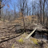 Devil's Backbone Trail, Tennessee - 336 Reviews, Map | AllTrails