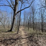 Devil's Backbone Trail, Tennessee - 336 Reviews, Map | AllTrails