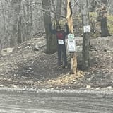 AOAA Green Trails West Loop, Pennsylvania - 46 Reviews, Map | AllTrails