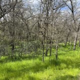 Johnson Springview Outer Loop, California - 369 Reviews, Map | AllTrails