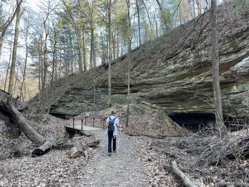 Best Hikes and Trails in Wildcat Den State Park | AllTrails