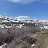 Tom Cooke and Steamboat Ditch Loop, Nevada - 1,215 Reviews, Map | AllTrails