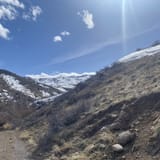 Tom Cooke and Steamboat Ditch Loop, Nevada - 1,215 Reviews, Map | AllTrails