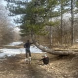 Maple Canyon to Whiting Campground, Utah - 607 Reviews, Map | AllTrails