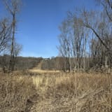 Old Cedar Avenue Bridge, Long Meadow Lake and Bluff Trail, Minnesota ...
