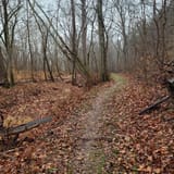 Bootleg Access Trail, Missouri - 72 Reviews, Map | AllTrails