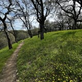 Green Valley Trail, California - 712 Reviews, Map | AllTrails