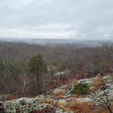Devil's Honeycomb Trail , Missouri - 732 Reviews, Map | AllTrails