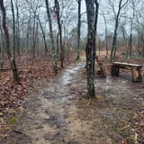 Devil's Honeycomb Trail , Missouri - 732 Reviews, Map | AllTrails