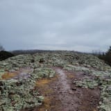 Devil's Honeycomb Trail , Missouri - 766 Reviews, Map | AllTrails