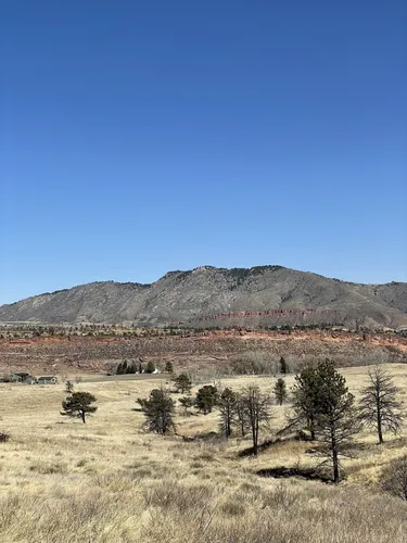 Best Hikes and Trails in Bobcat Ridge Natural Area | AllTrails