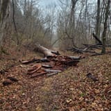 Bootleg Access Trail, Missouri - 72 Reviews, Map | AllTrails