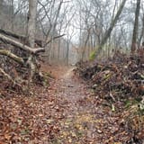 Bootleg Access Trail, Missouri - 72 Reviews, Map | AllTrails