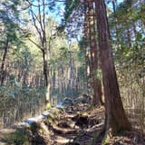Mount Kintoki - Kintoki Shrine, Kanagawa, Japan - 240 Reviews, Map ...