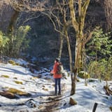 Mount Kintoki - Kintoki Shrine, Kanagawa, Japan - 240 Reviews, Map ...