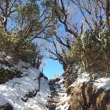 Mount Kintoki - Kintoki Shrine, Kanagawa, Japan - 240 Reviews, Map ...