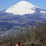 Mount Kintoki - Kintoki Shrine, Kanagawa, Japan - 240 Reviews, Map ...
