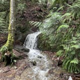 Chuckanut Falls, Washington - 616 Reviews, Map | AllTrails