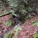 Chuckanut Falls, Washington - 616 Reviews, Map | AllTrails