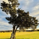 Second Battle of Manassas Trail Loop, Virginia - 1,003 Reviews, Map ...