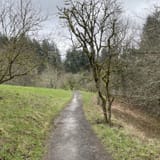 Washington Park Loop, Oregon - 1,595 Reviews, Map | AllTrails
