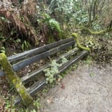Washington Park Loop, Oregon - 1,595 Reviews, Map | AllTrails