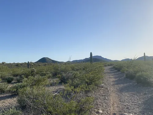 Best Hikes and Trails in Greasewood Park | AllTrails