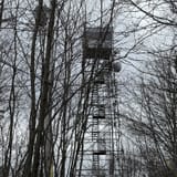 Mount Toby Trail, Massachusetts - 1,058 Reviews, Map | AllTrails