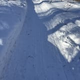 Talkeetna Lake Trail, Alaska - 672 Reviews, Map | AllTrails