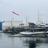 Cheshiahud Lake Union Loop, Washington - 1,581 Reviews, Map | AllTrails