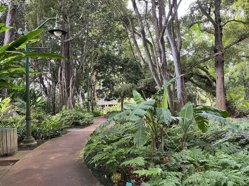 Best Hikes and Trails in Wahiawa Botanical Garden | AllTrails