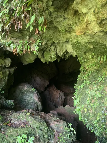 Best Hikes and Trails in Área Natural Protegida Río Encantado | AllTrails