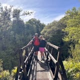 Hump Ridge Track, Southland, New Zealand - 42 Reviews, Map | AllTrails