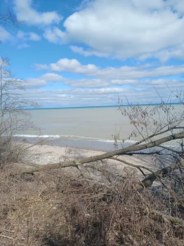 Best Beach Trails in Mequon | AllTrails