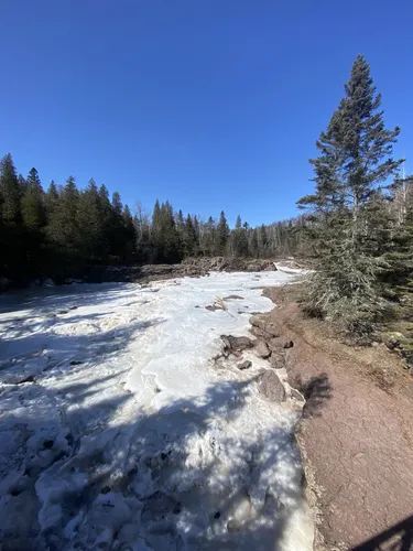 Best Forest Trails in Silver Creek Township | AllTrails