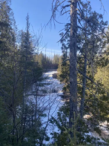 Best Forest Trails in Silver Creek Township | AllTrails