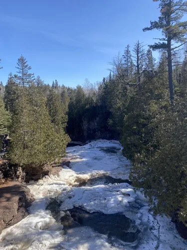 Best Forest Trails in Silver Creek Township | AllTrails