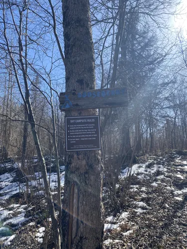 Best Forest Trails in Silver Creek Township | AllTrails