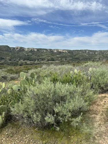 Best Walking Trails in Caspers Wilderness Park | AllTrails