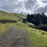 Bill's Trail to Mount Barnabe Peak Loop, California - 484 Reviews, Map ...
