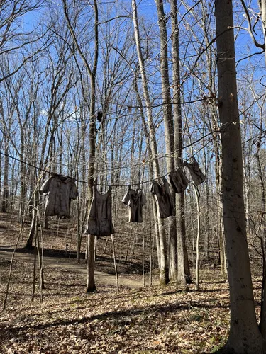 Best Kid Friendly Trails in Solsberry | AllTrails