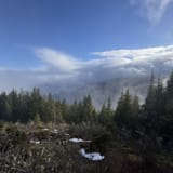 Mount Walker, Washington - 2,087 Reviews, Map | AllTrails