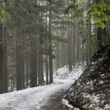 Mount Walker, Washington - 2,087 Reviews, Map | AllTrails