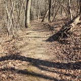 Geode State Park, Iowa - 313 Reviews, Map | AllTrails