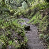 Dipsea Trail, California - 1,503 Reviews, Map | AllTrails