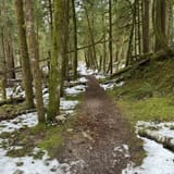 Middle Fork Snoqualmie River Trail, Washington - 1,022 Reviews, Map ...