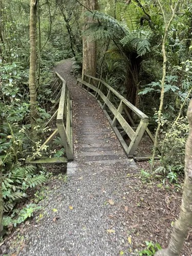 Best Hikes and Trails in Wyndham | AllTrails